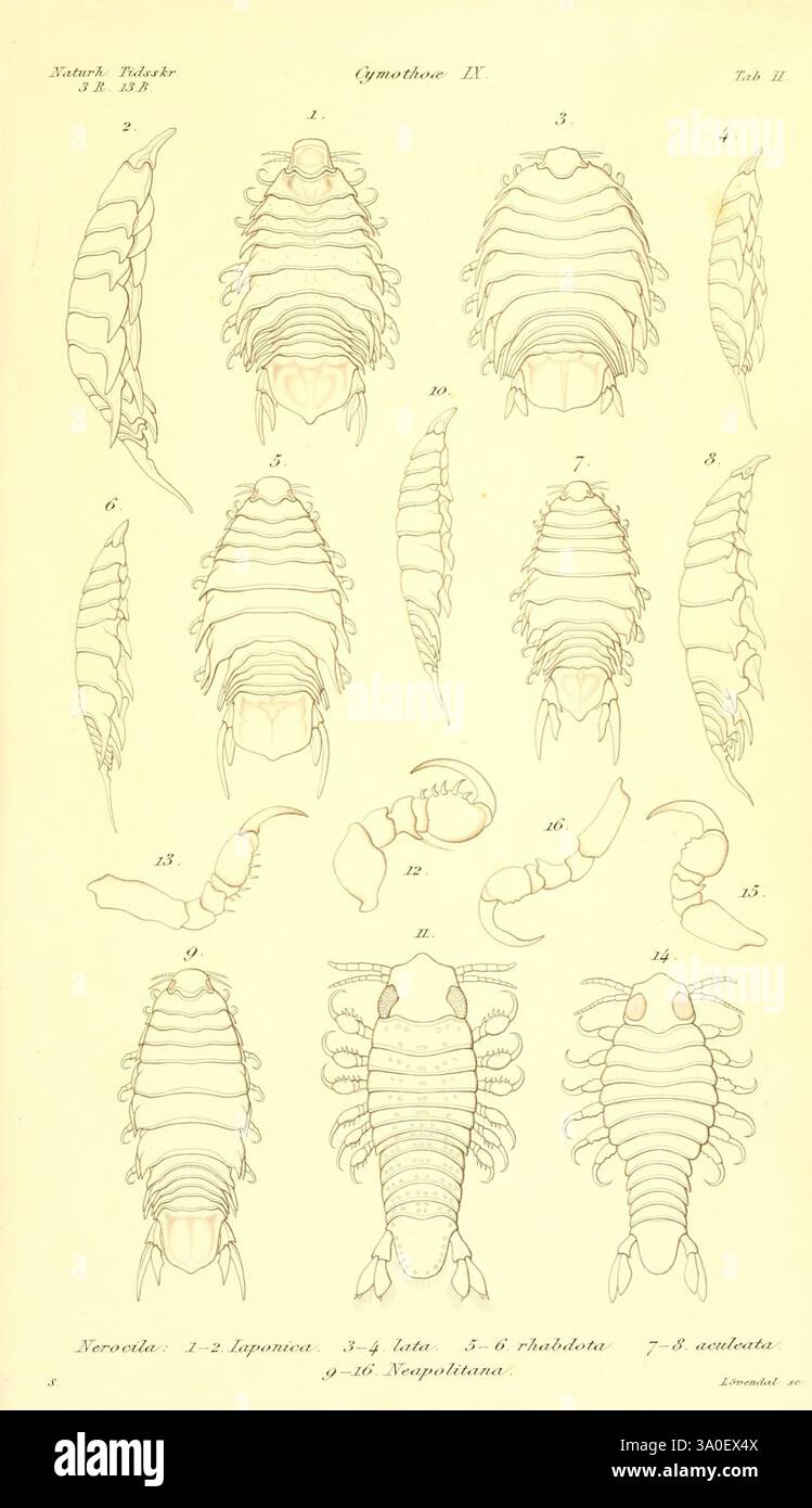 Various orientations depict hi-res stock photography and images - Alamy