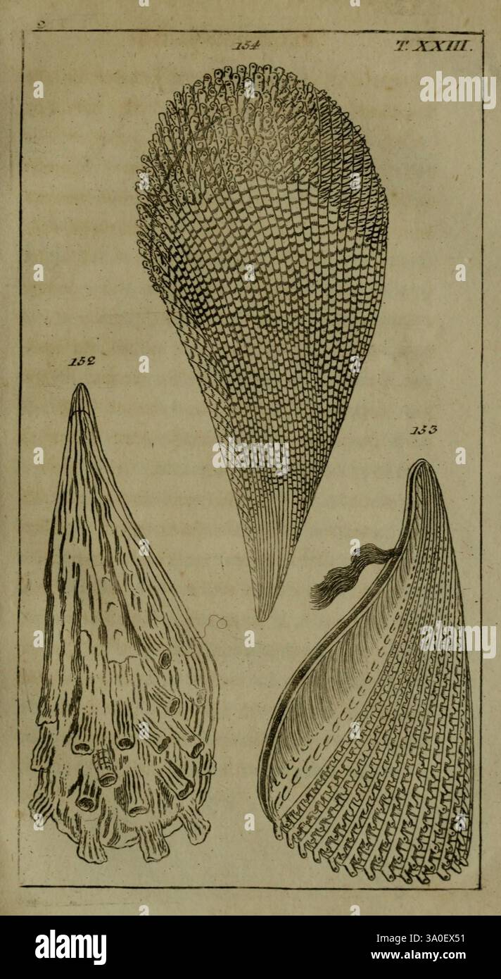 Series of fine ridges hi-res stock photography and images - Alamy