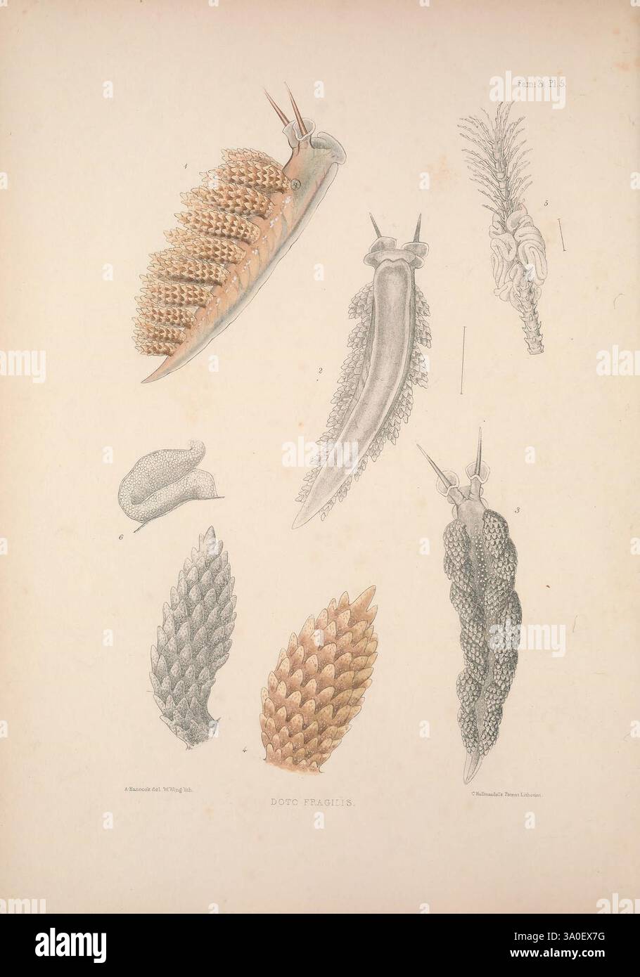 Arrangement features different angles hi-res stock photography and ...