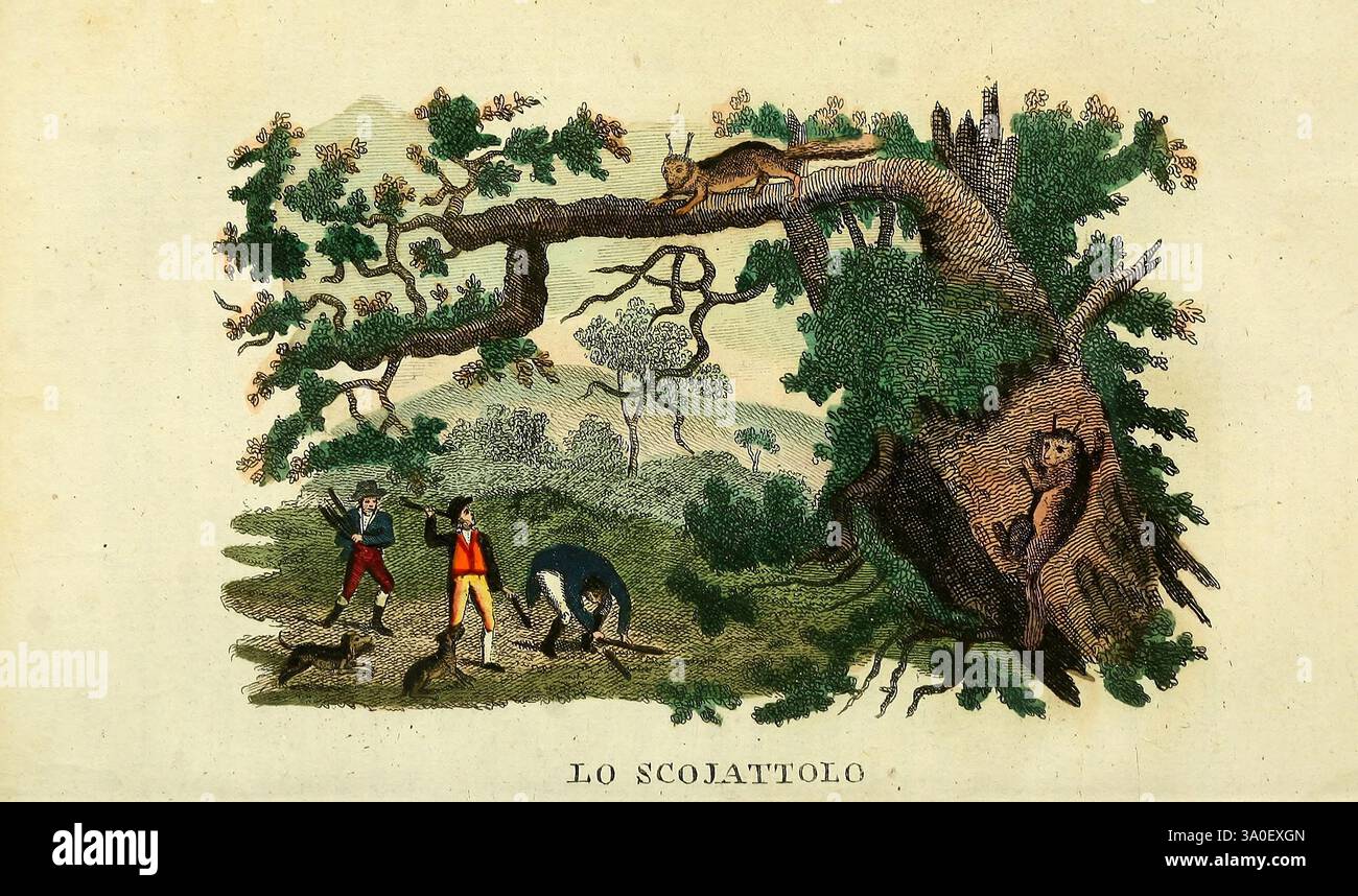 Whimsical scene unfolds in hi-res stock photography and images - Alamy