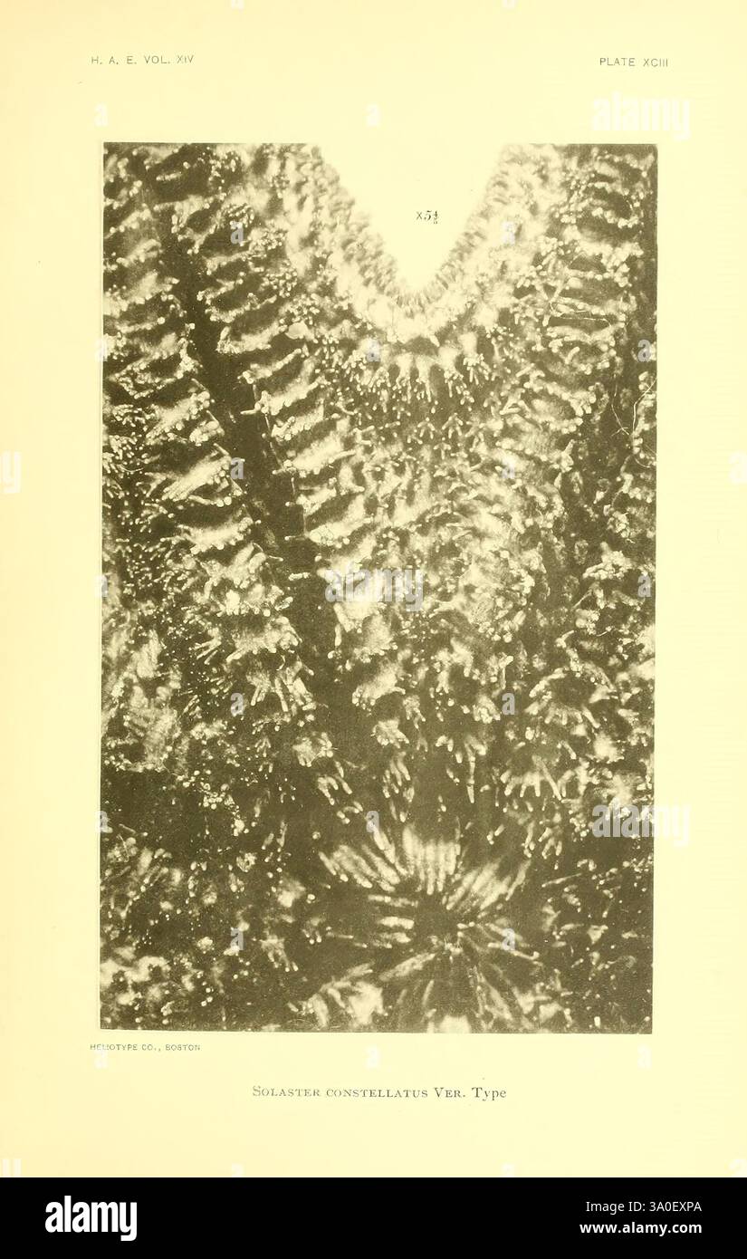 Harriman Alaska series Washington 1910-1914 Alaska Natural History ...