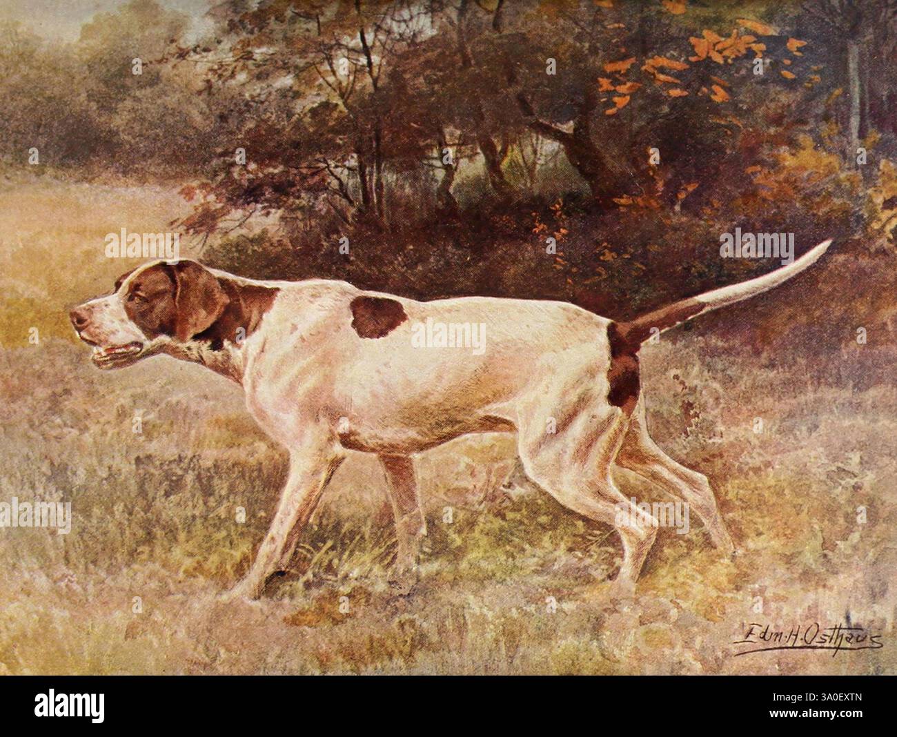 Hints of natures colors hi-res stock photography and images - Alamy