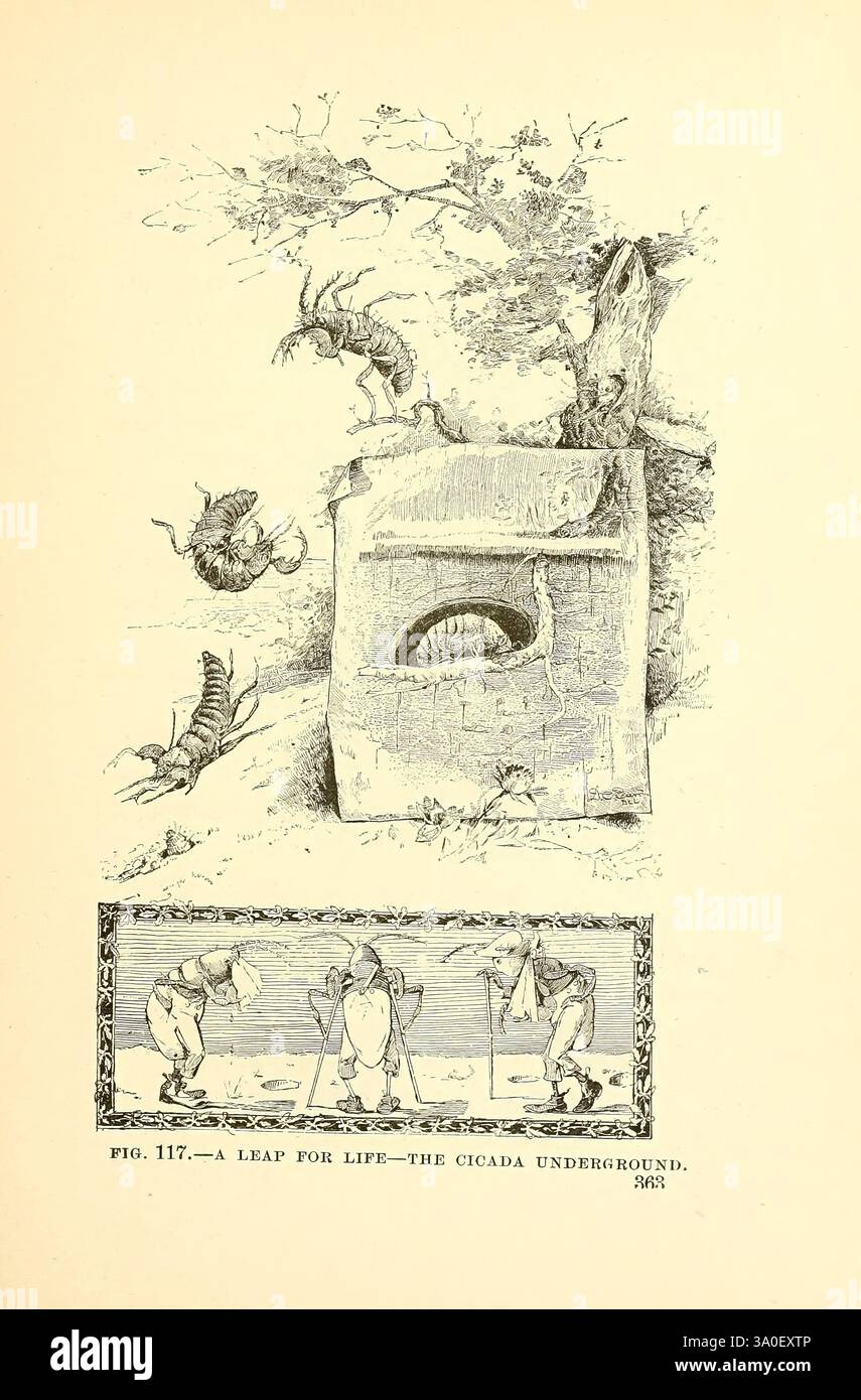 Tenants of an old farm, New York, Fords, Howard & Hulbert, 1885 1884 ...