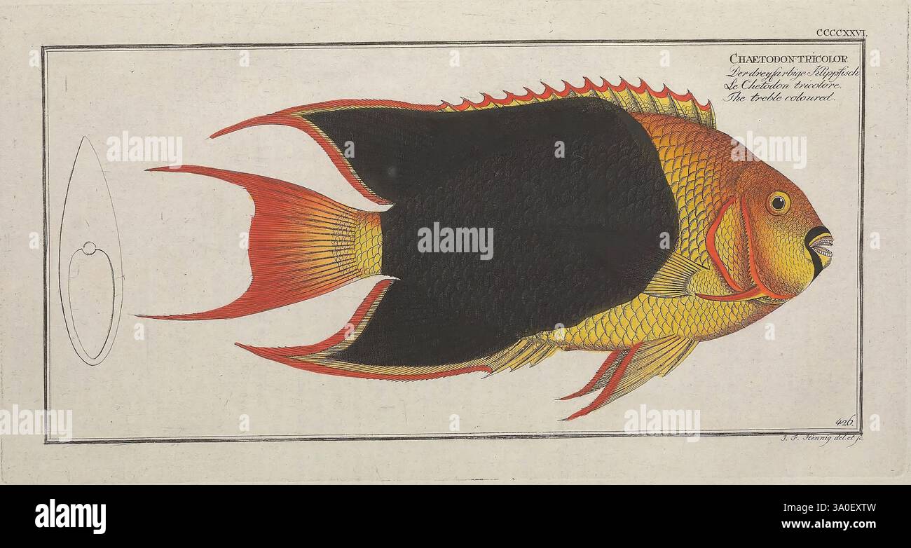 Showcasing spiny structures hi-res stock photography and images - Alamy