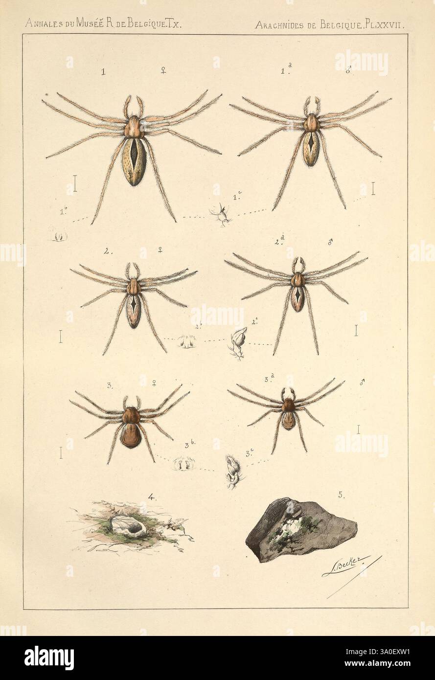 Capturing different angles hi-res stock photography and images - Alamy