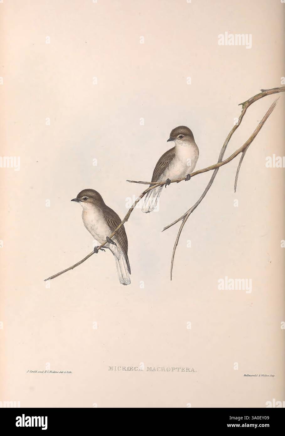 Observant expressions hi-res stock photography and images - Alamy