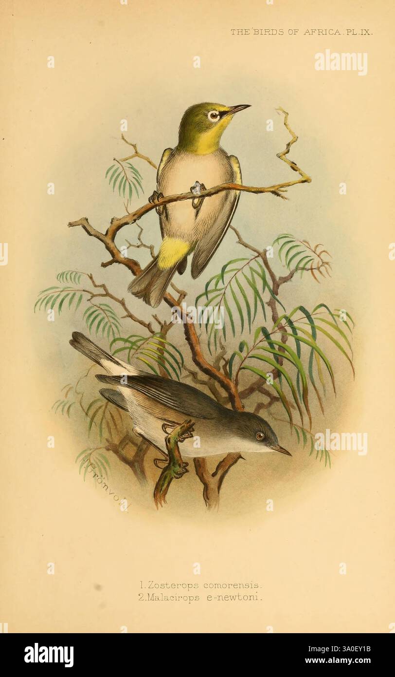 Subdued color palette of gray hi-res stock photography and images - Alamy