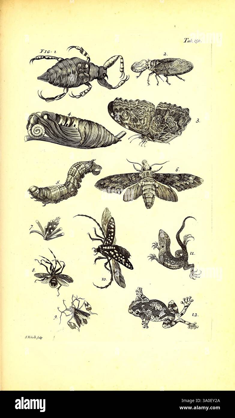 Third row highlights additional insects hi-res stock photography and ...