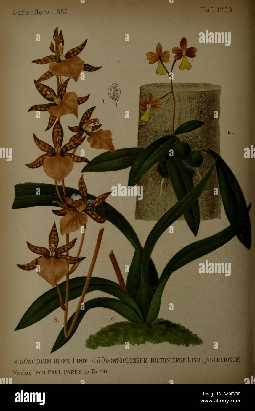 Visual annotations labeled hi-res stock photography and images - Alamy