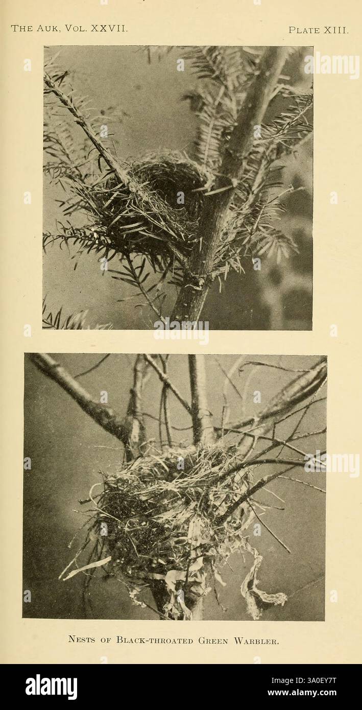 Somewhat less detailed hi-res stock photography and images - Alamy