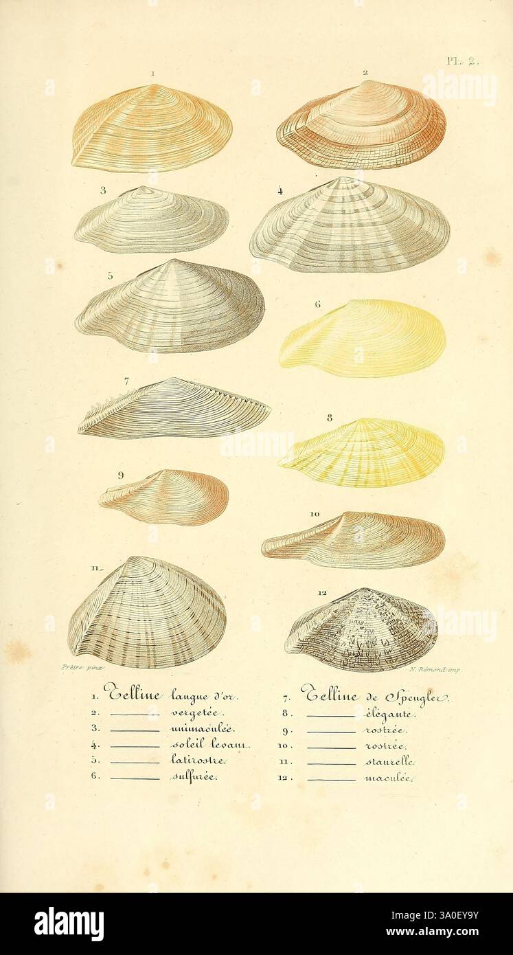 Lectures Elementary on the Natural History of Animals, Paris, J.J ...