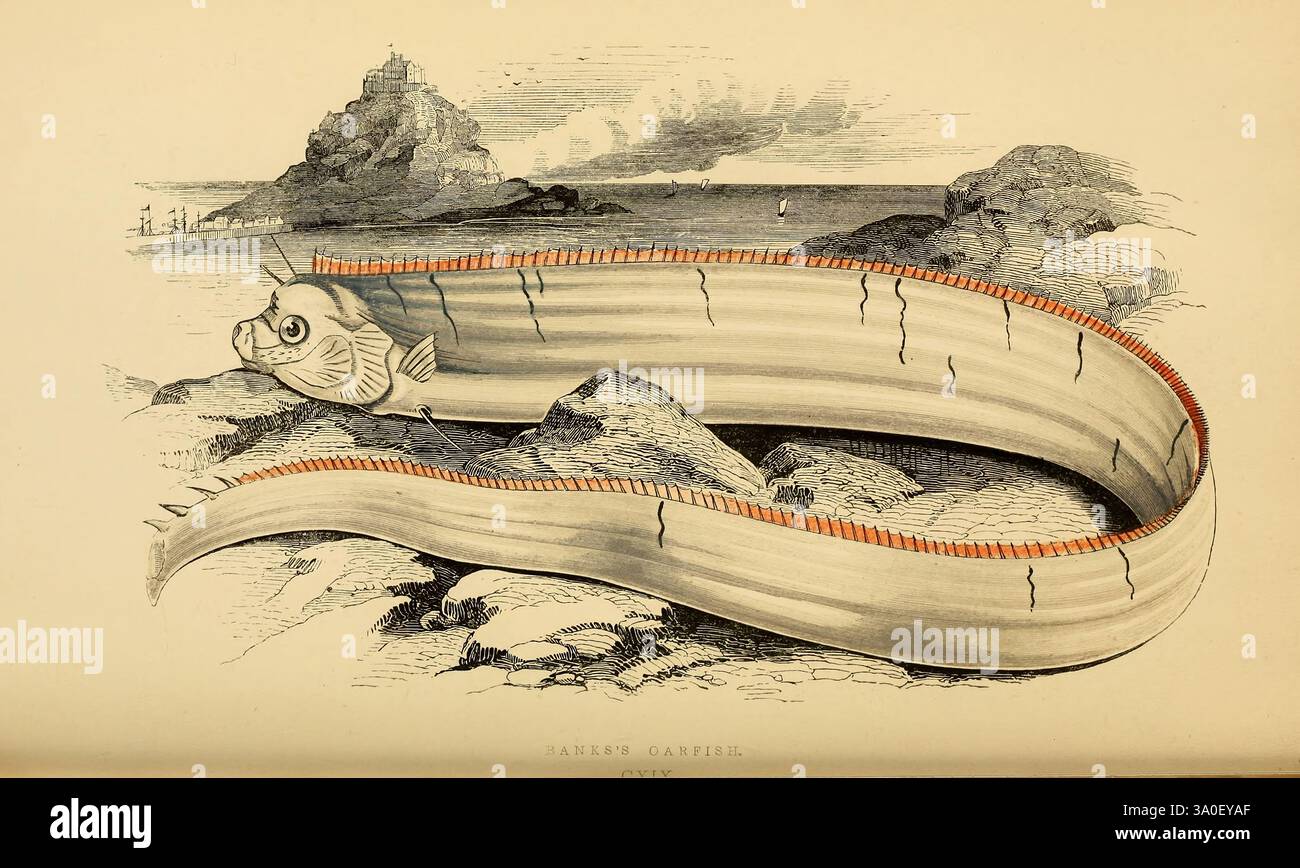 Serene yet dynamic maritime environment hi-res stock photography and ...