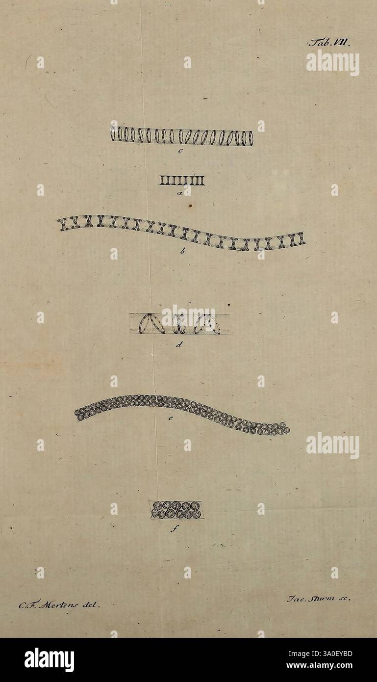 Various linear motifs hi-res stock photography and images - Alamy