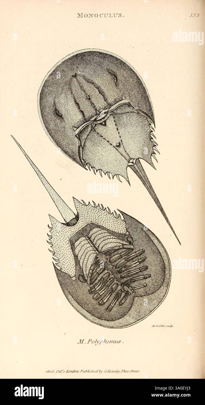 General zoology, or Systematic natural history, London, Printed for G ...
