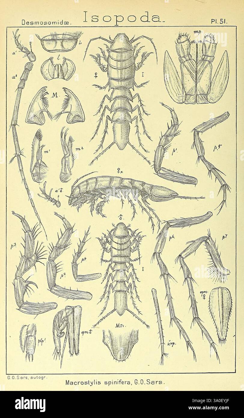 An account of the Crustacea of Norway Christiania A. Cammermeyer 1895 ...