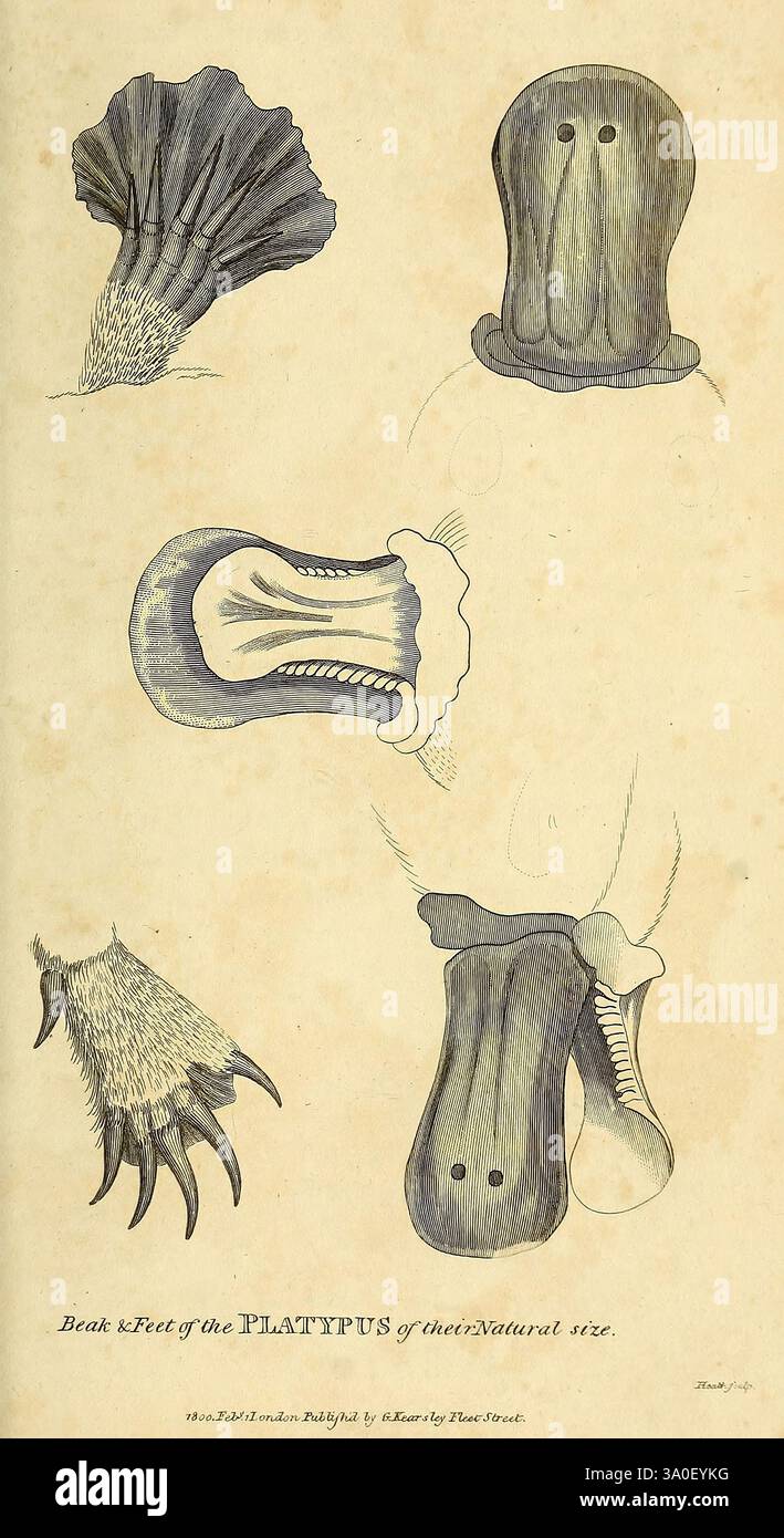 Fascinating physical features hi-res stock photography and images - Alamy