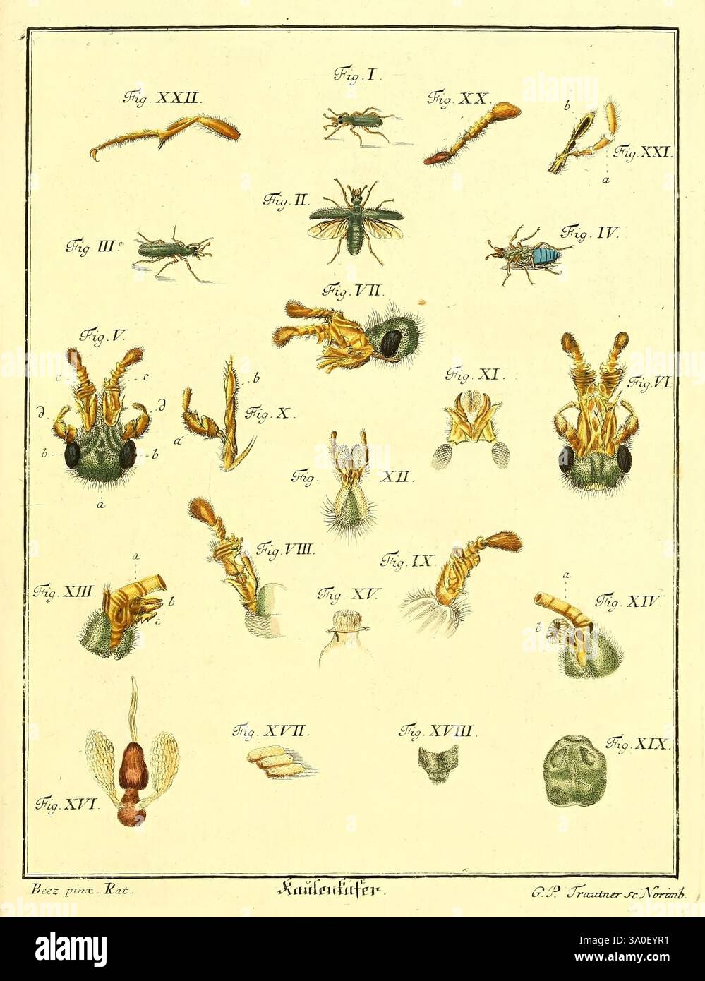 Meticulous depiction reflects hi-res stock photography and images - Alamy