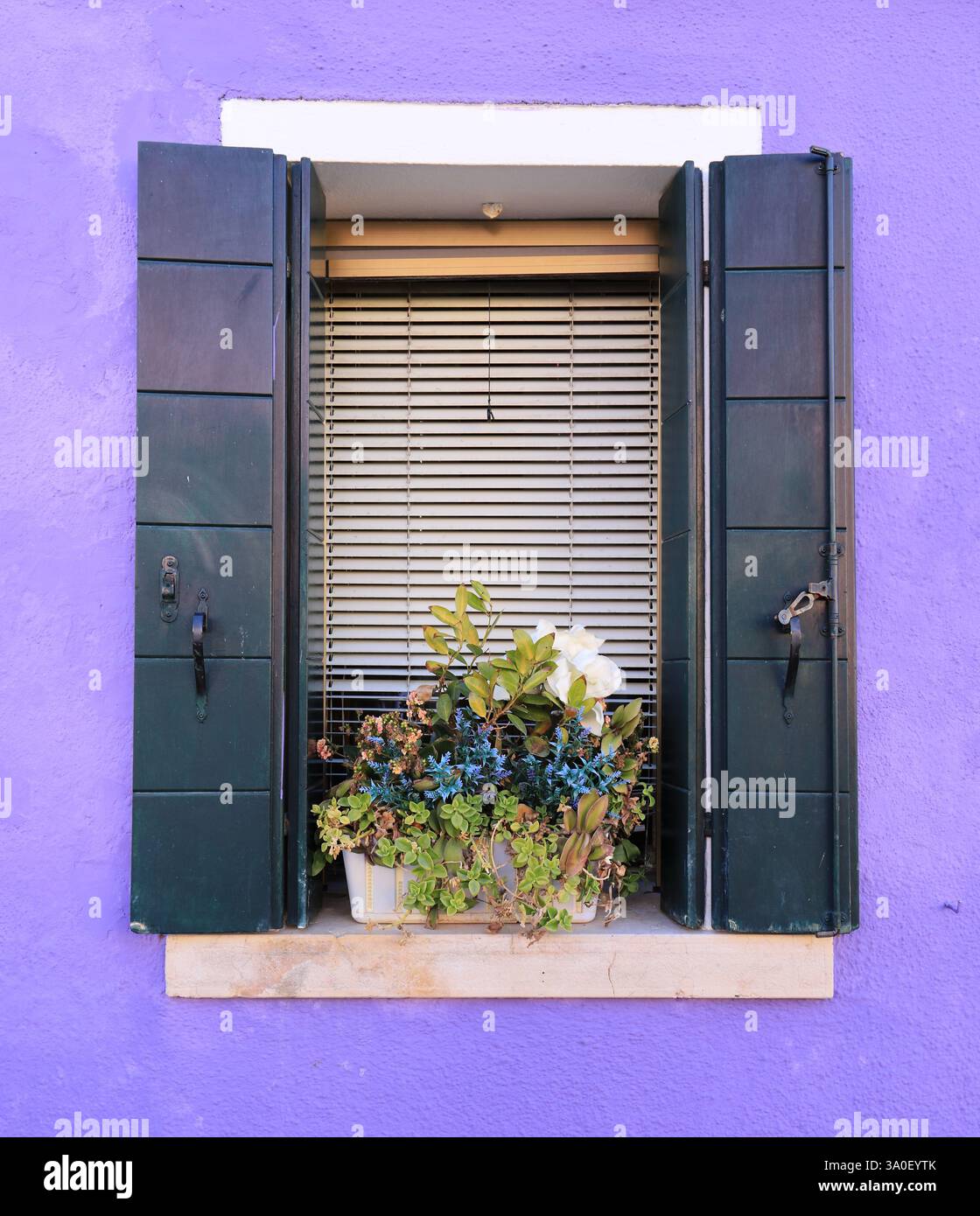 Typical renaissance window in Burano. Venice, Italy Stock Photo - Alamy