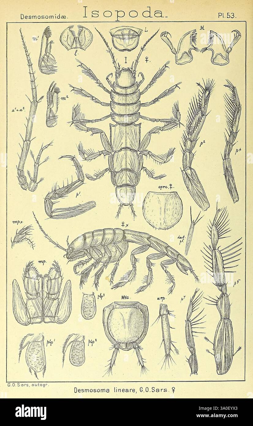 An account of the Crustacea of Norway Christiania, A. Cammermeyer, 1895 ...