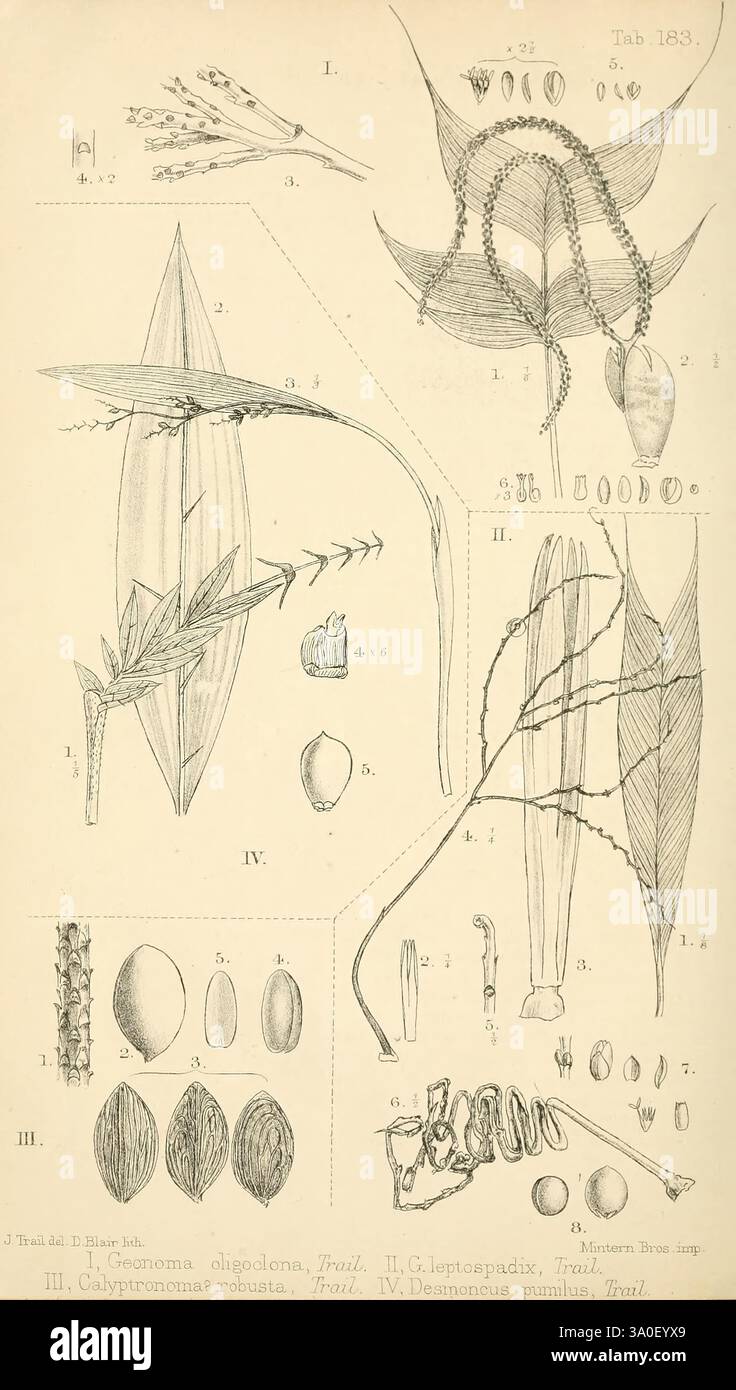 Journal of Botany, British and Foreign London Robert Hardwicke 1863 ...