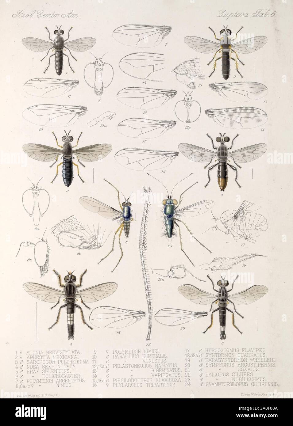 Range of detailed depictions of various hi-res stock photography and ...