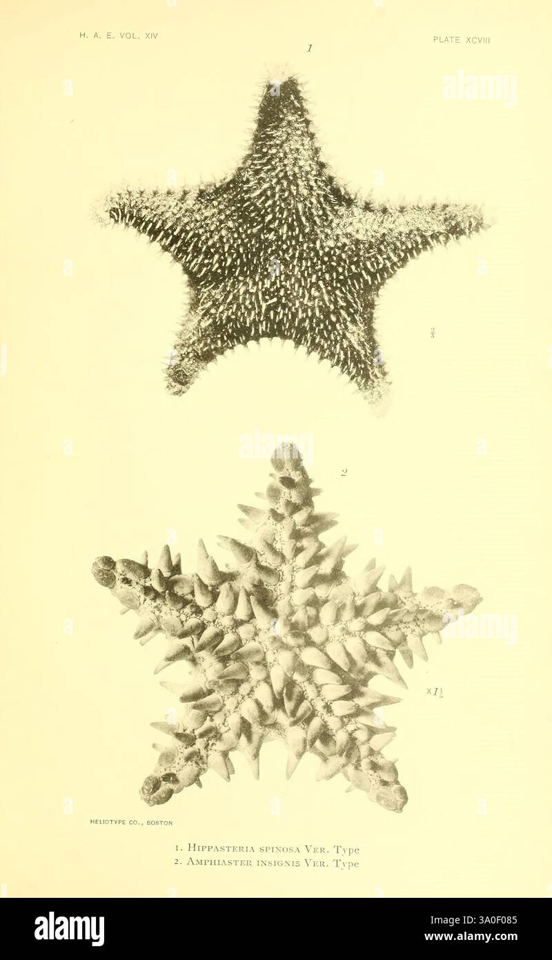 Harriman, Alaska, Series, Washington, 1910-1914, Alaska, Natural ...