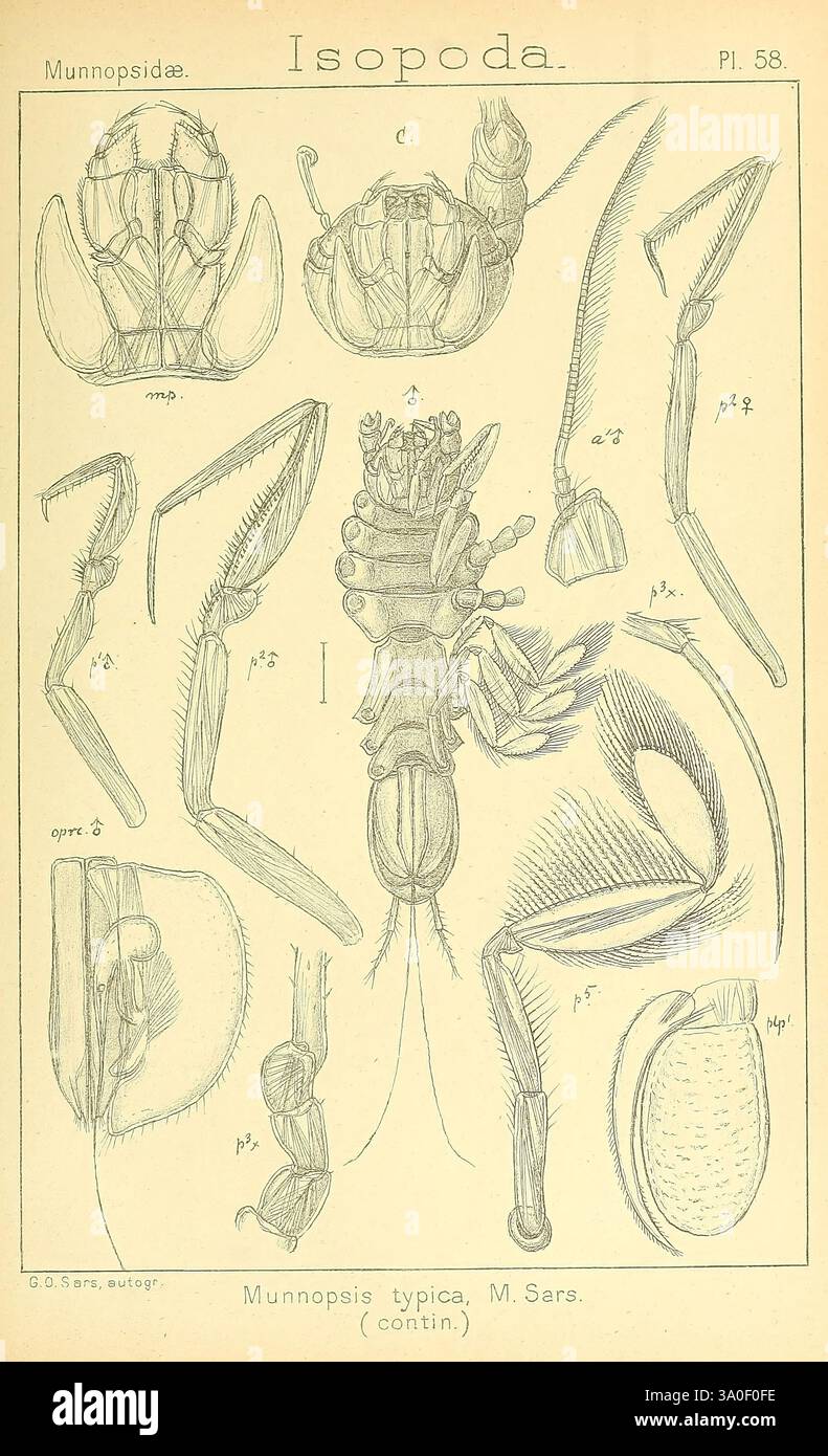 Adjacent images present close ups of different appendages hi-res stock ...