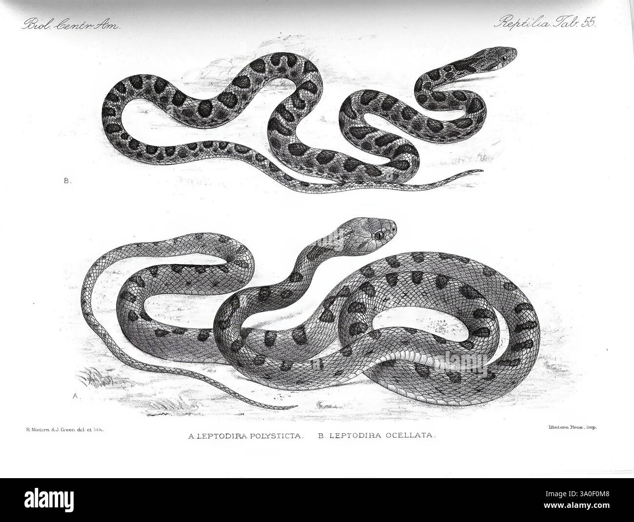 Bold patterns winds hi-res stock photography and images - Alamy