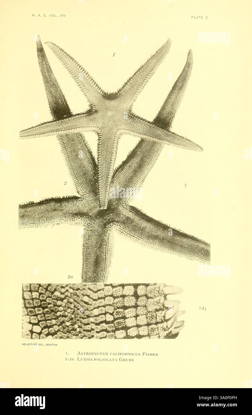 Harriman Alaska series Washington 1910-1914. Alaska Natural history ...