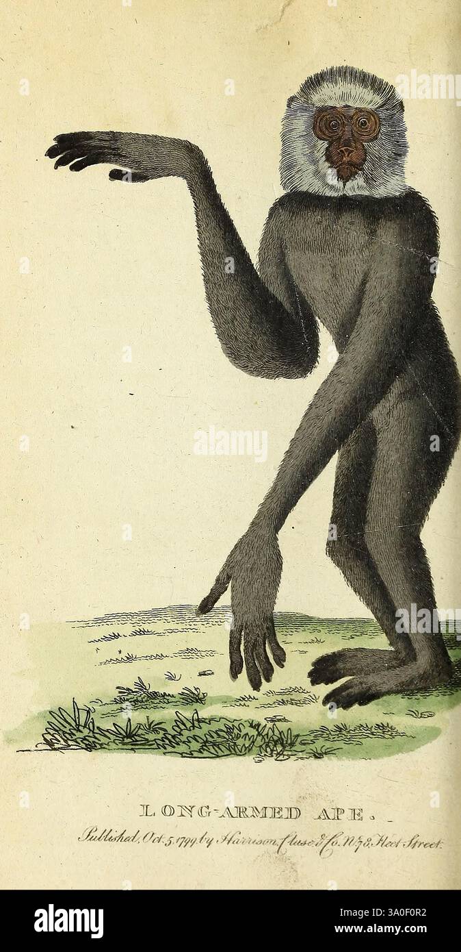 The Naturalist's Pocket Magazine or complete cabinet of the curiosities ...