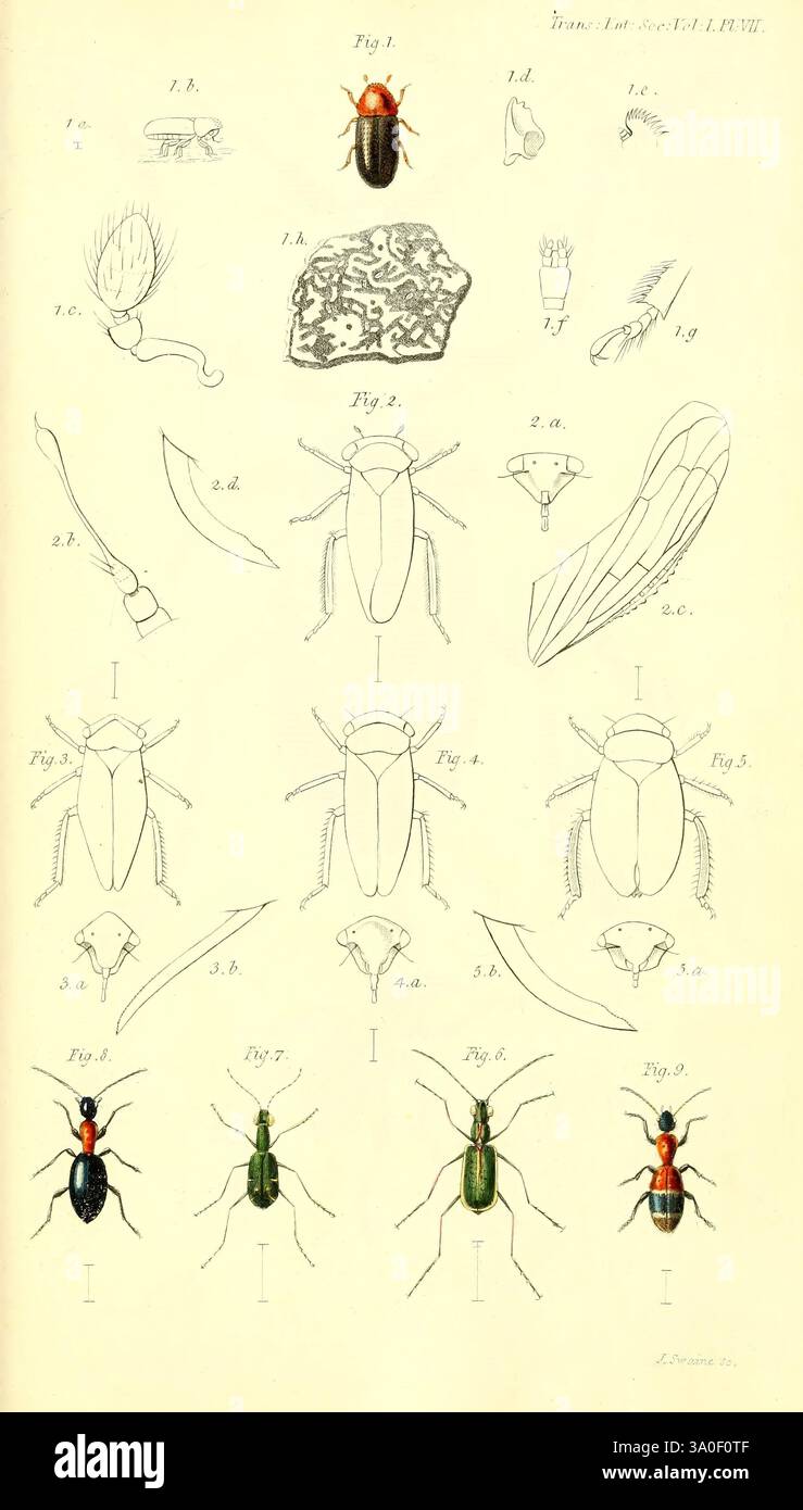 Showcasing specific details hi-res stock photography and images - Alamy