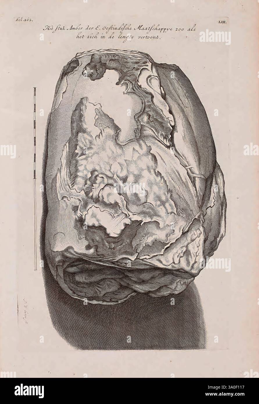 Emphasis on contours hi-res stock photography and images - Alamy