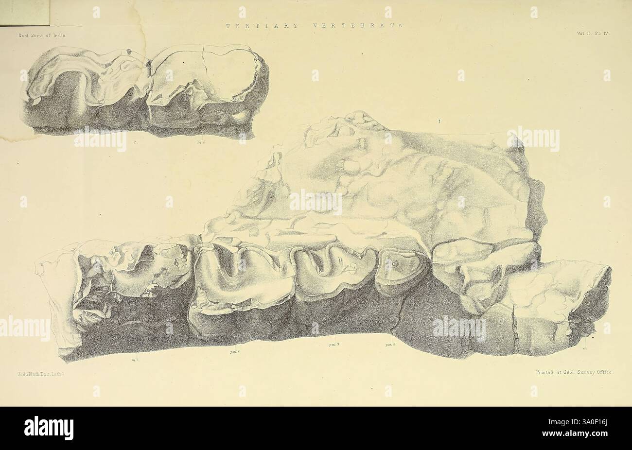 Detailed study of elaborate rock formations hi-res stock photography ...