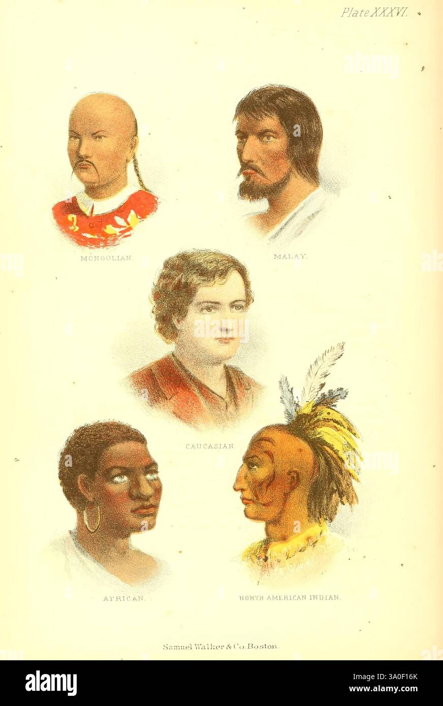 The living world, Boston, Samuel Walker & Co, 1868-1870, c1868 ...