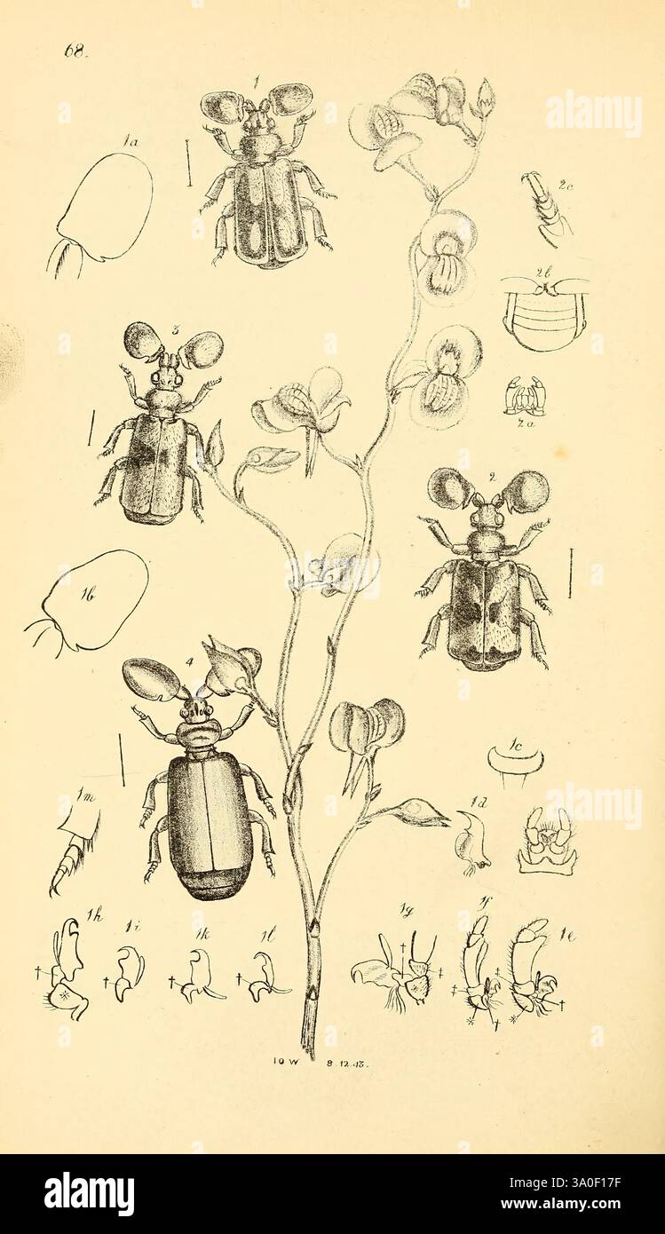 Illustrated in different angles hi-res stock photography and images - Alamy