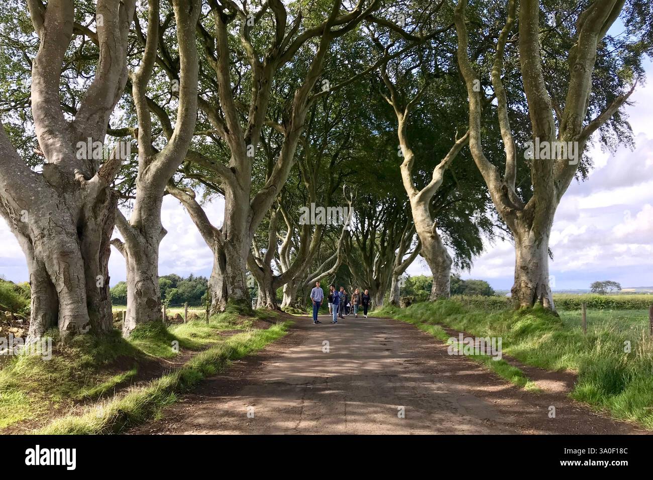 The Kings road of The game of thrones in Northern Ireland Stock Photo ...