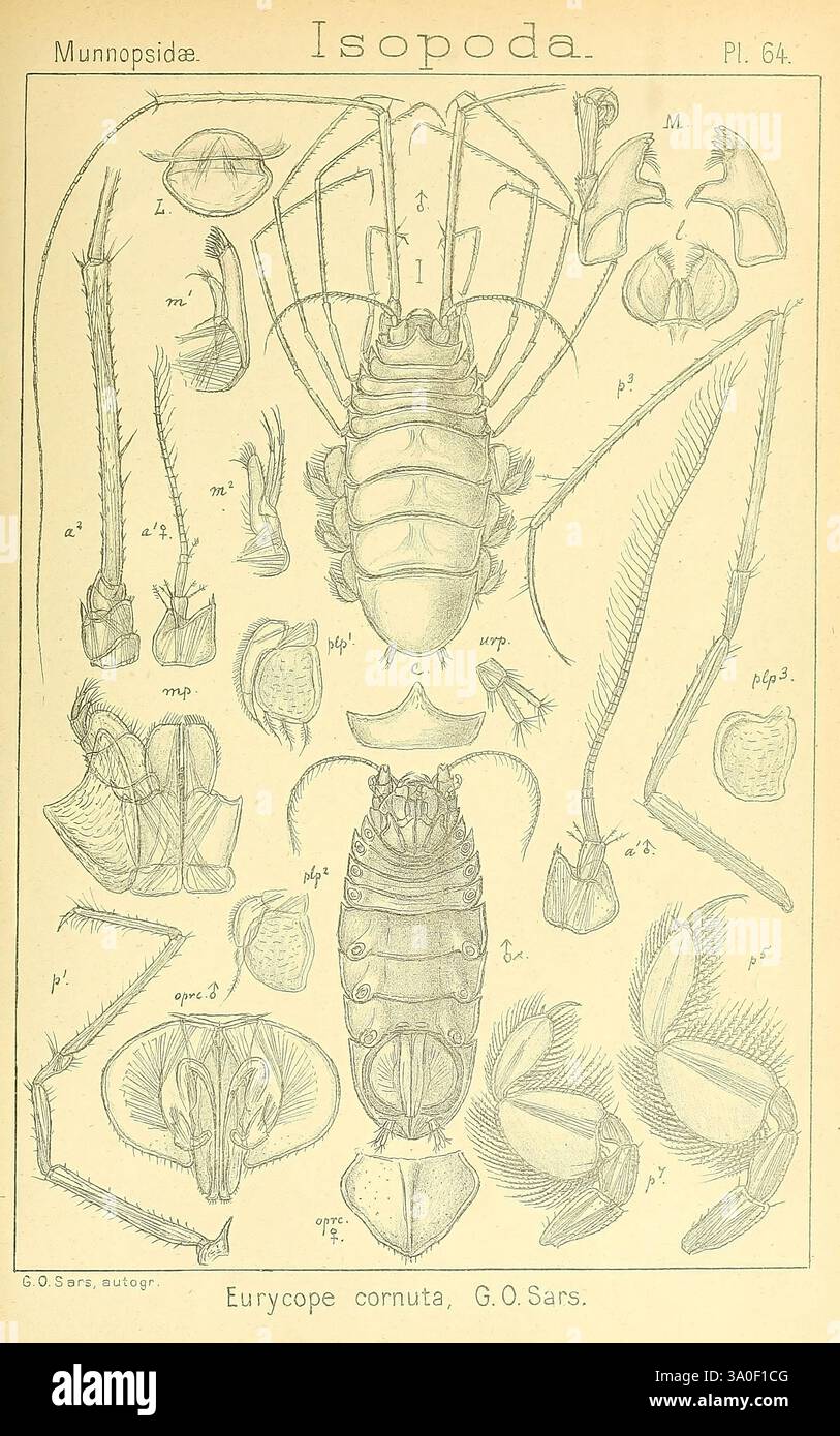 An account of the Crustacea of Norway, Christiania, A. Cammermeyer ...