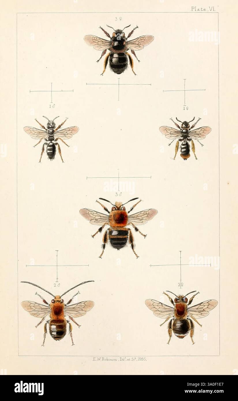 Depicted in various angles hi-res stock photography and images - Alamy