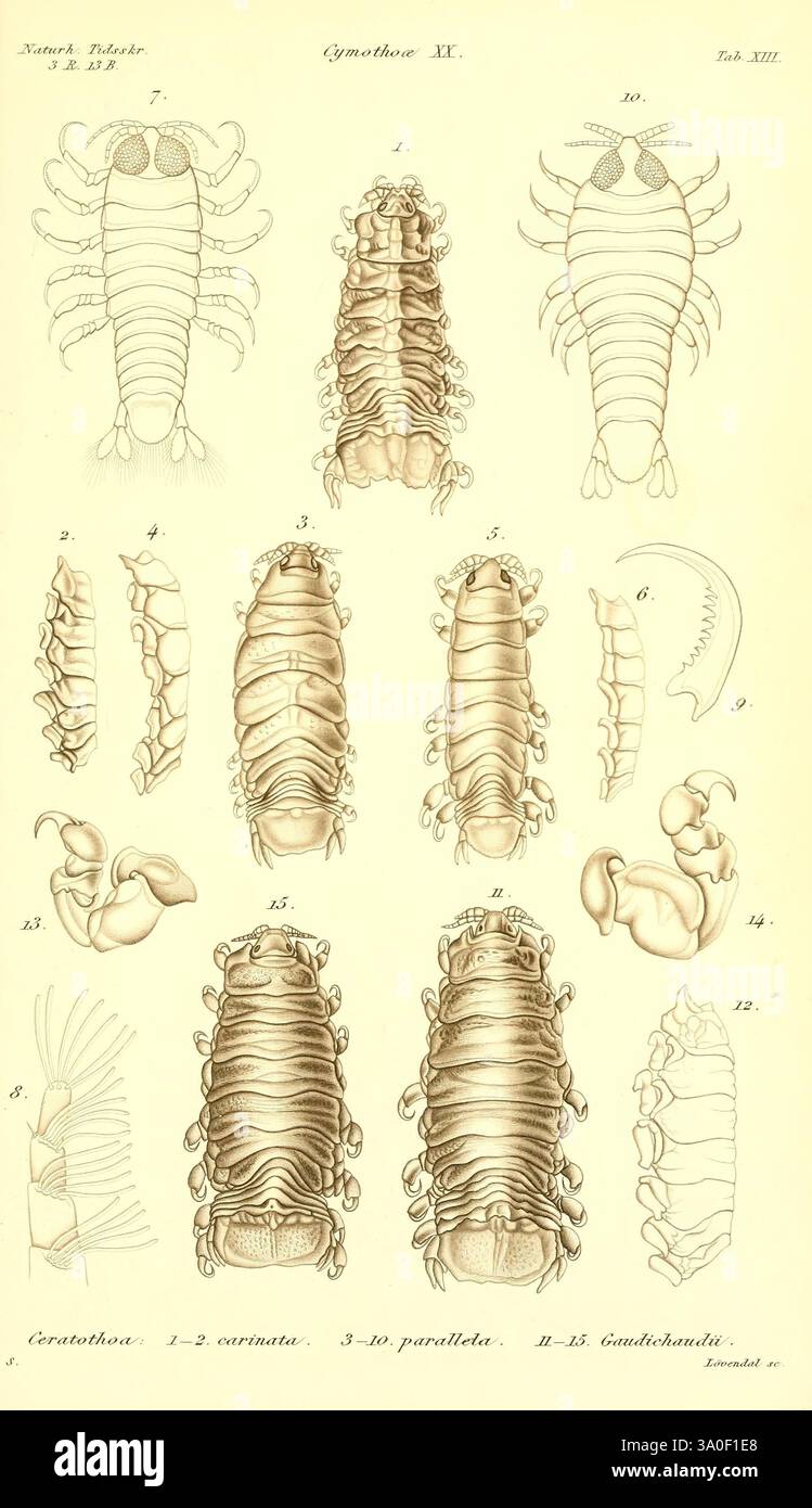 Symbolæ ad monographiam Cymothoarum Crustaceorum Isopodum familiæ ...