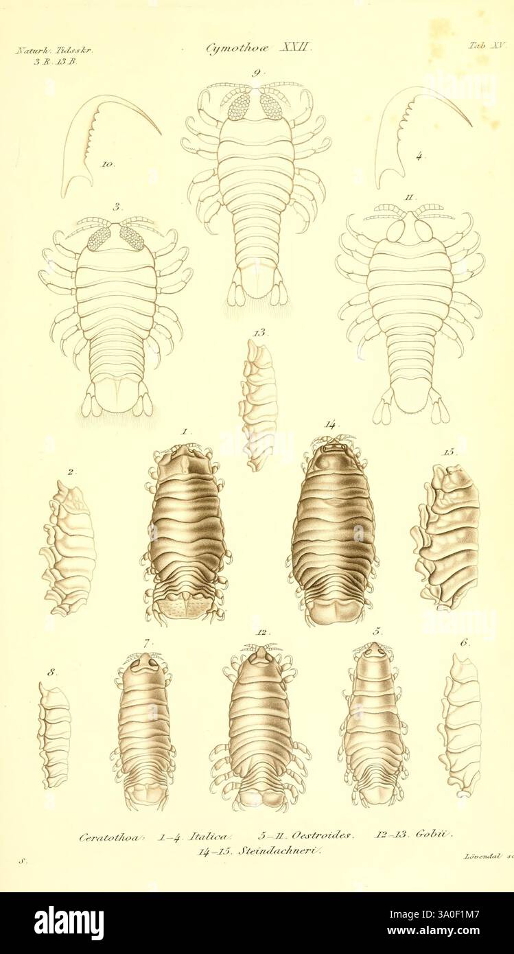 Symbolæ, ad, monographiam, Cymothoa, Crustacea, Isopoda, familiæ ...