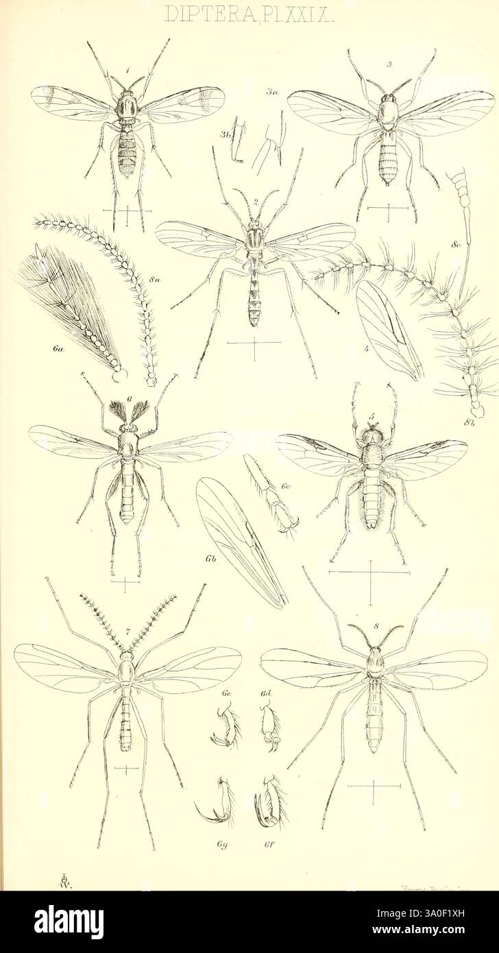 Depictions of different life stages hi-res stock photography and images ...