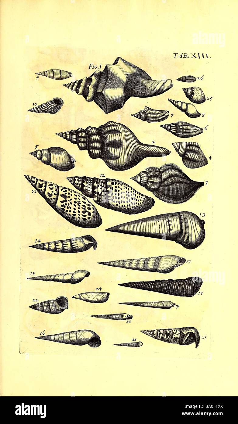 Jacobi Petiveri Opera, historiam naturalem spectantia 1767 ...