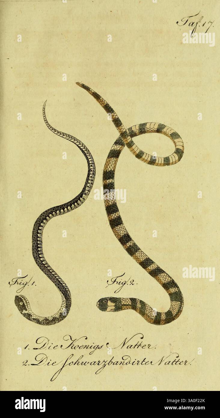 Textual labels indicating hi-res stock photography and images - Alamy