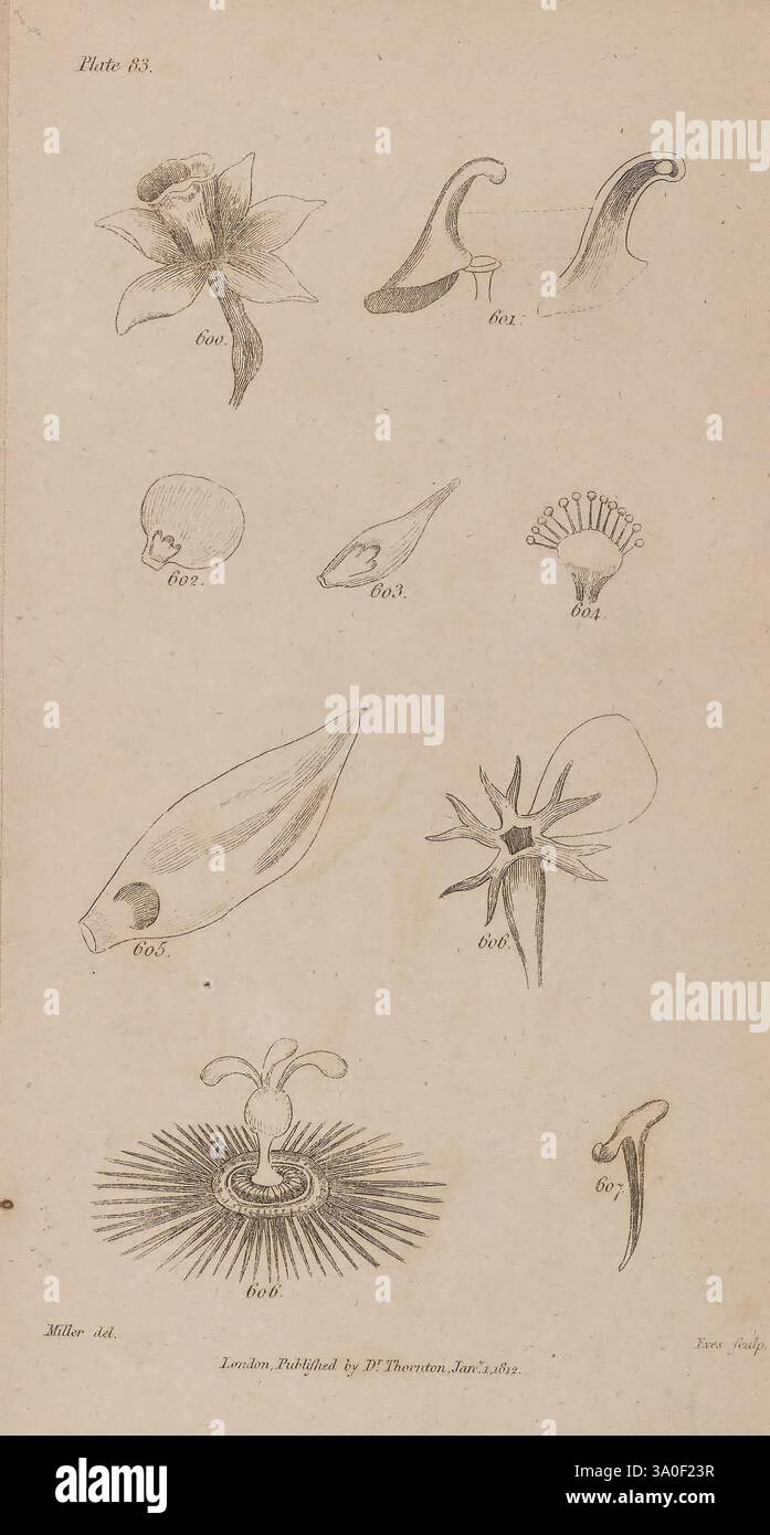 Elements of Botany London, Printed for the author by J. Whiting, 1812 ...