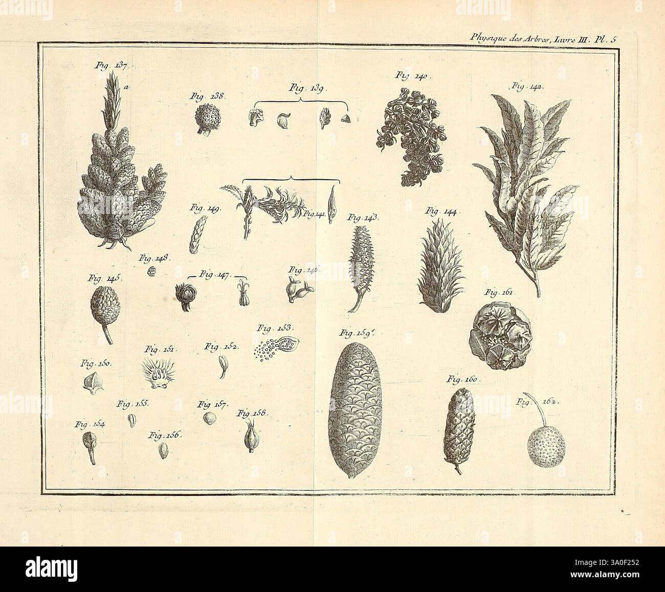 La physique des arbres, A Paris, H.L. Guerin & L.F. Delatour, 1758 ...