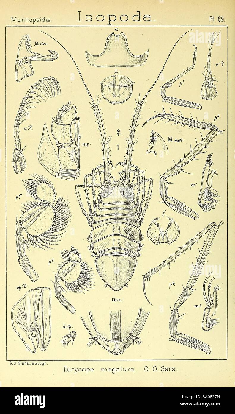 An account of the Crustacea of Norway Christiania, A. Cammermeyer, 1895 ...