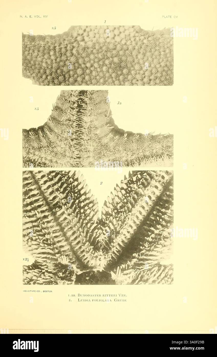 Visual composition features three distinct sections hi-res stock ...