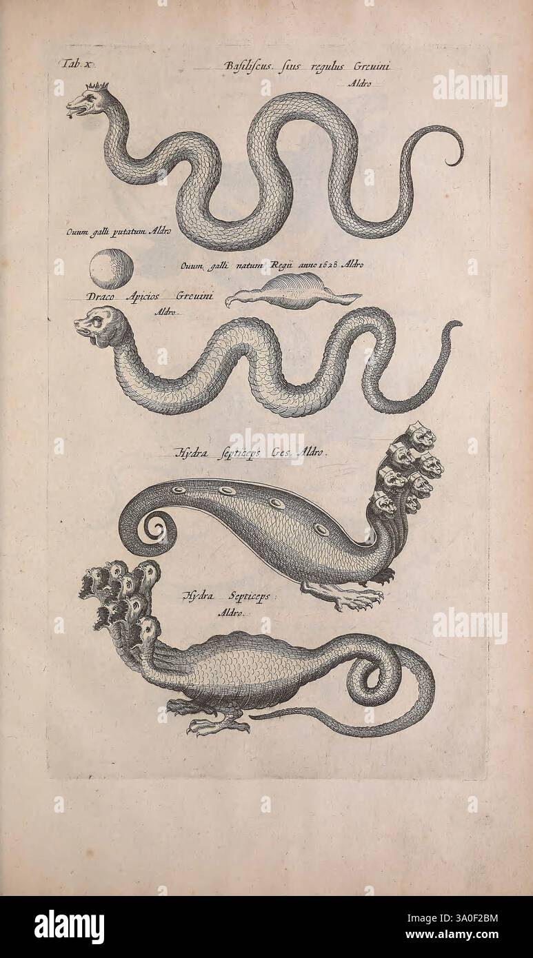 Second serpentine figure hi-res stock photography and images - Alamy