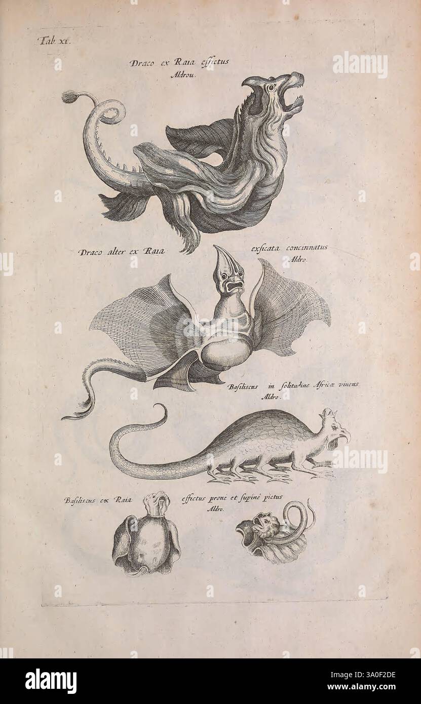 Schipper mdclvii hi-res stock photography and images - Alamy