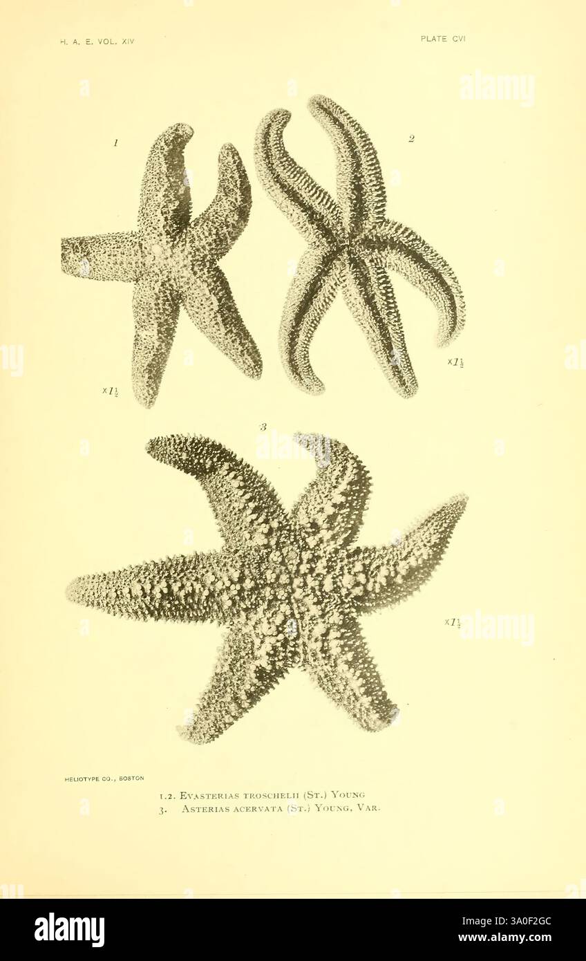 Harriman Alaska series Washington, 1910-1914. Alaska Natural history ...